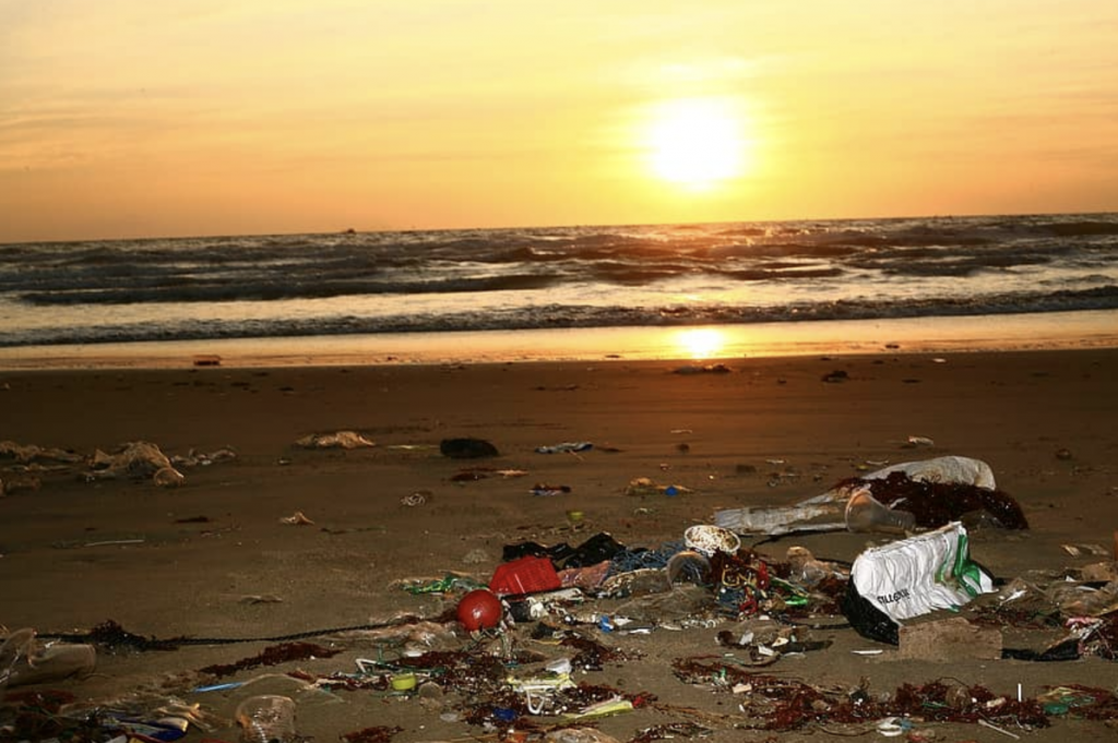 Pays-Basque : I Clean My Sea, la première application qui permet de signaler les plastiques en ...