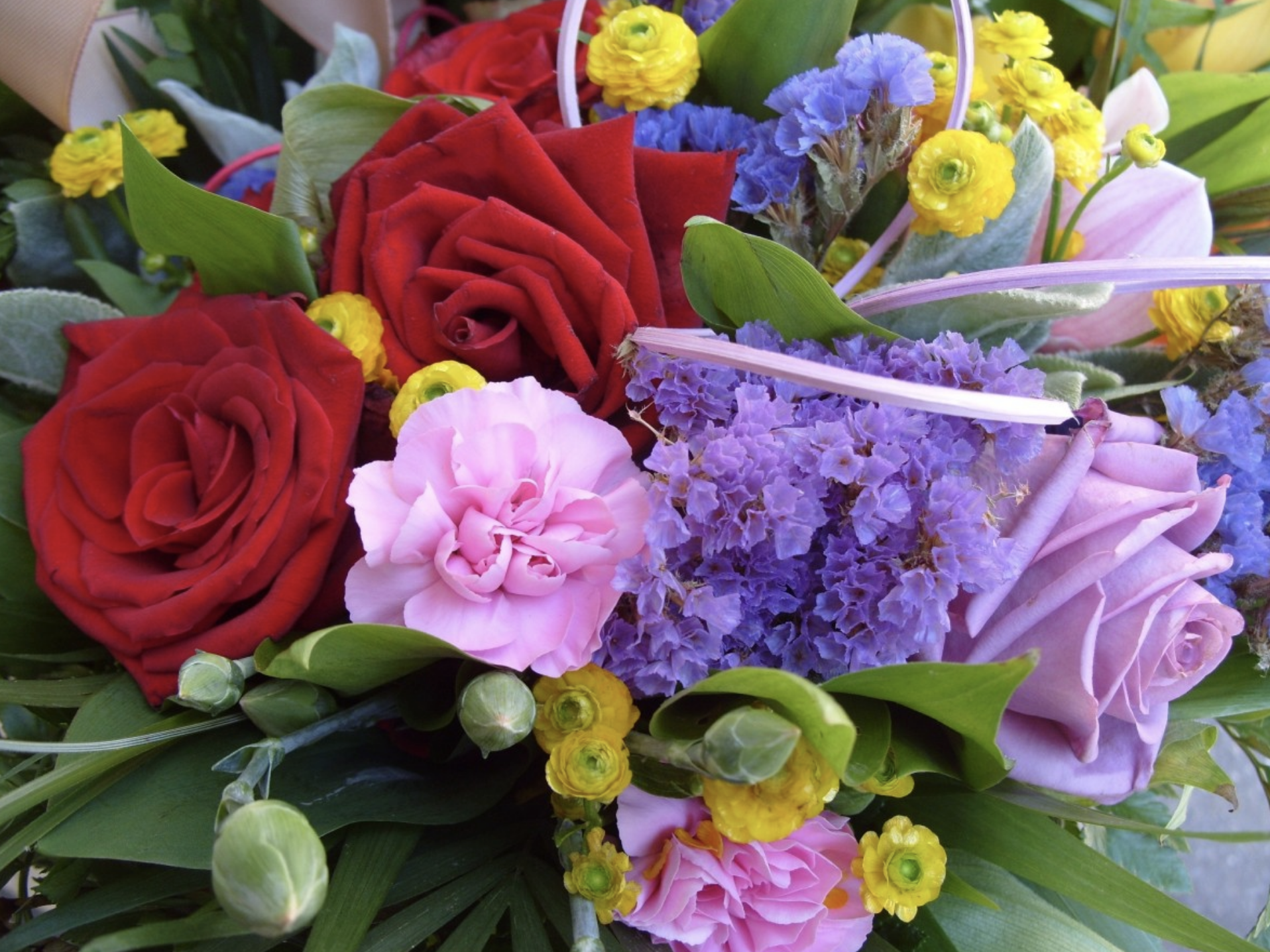 Le Var, le numéro 1 mondial de la fleur coupée ! - Ecomnews