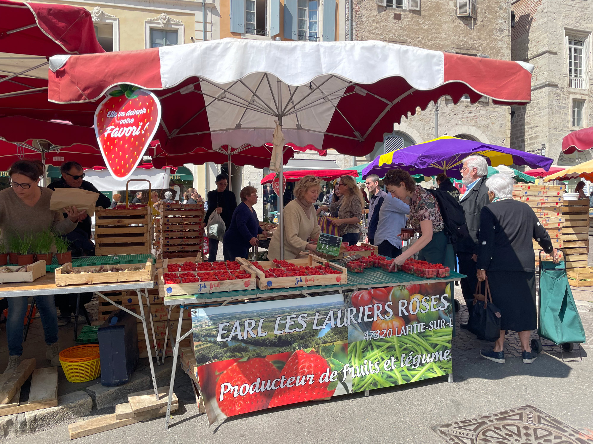 Quelle est la situation du marché de la Fraise française ? Analyse d’un ...